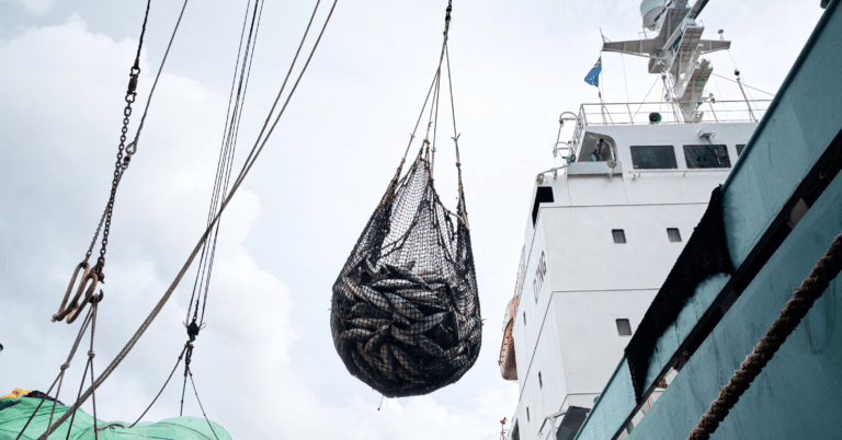 Pêche : une haute-fonctionnaire d’État a été mise à disposition pour ...