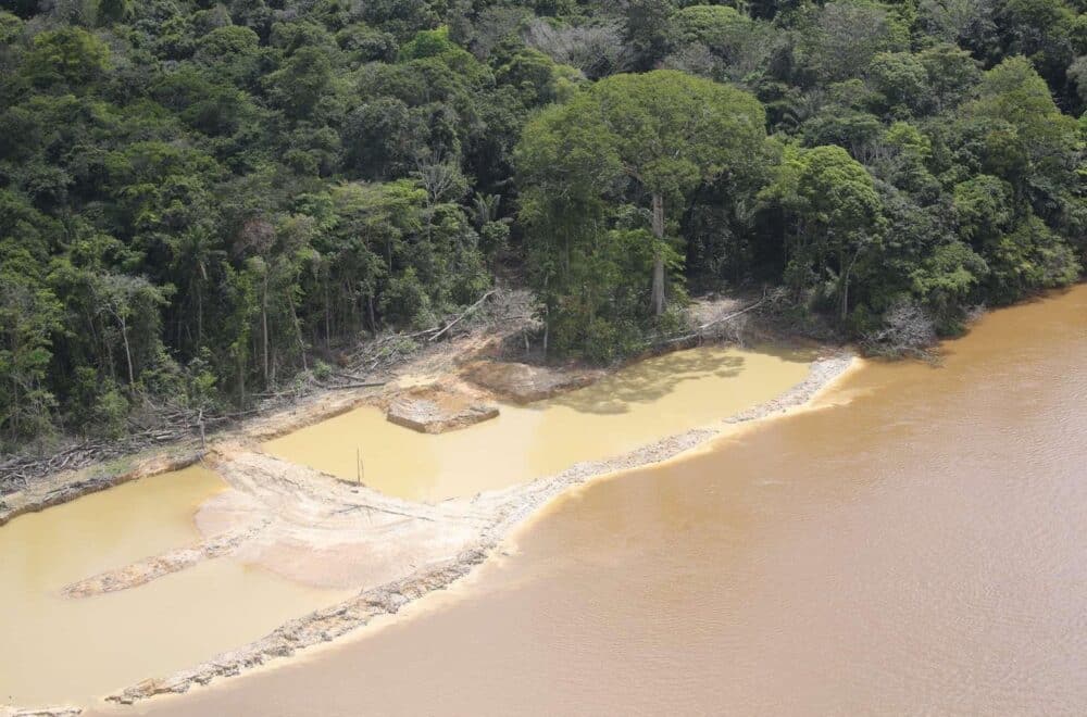 Orpaillage illégal en Guyane : une action en justice contre l’État
