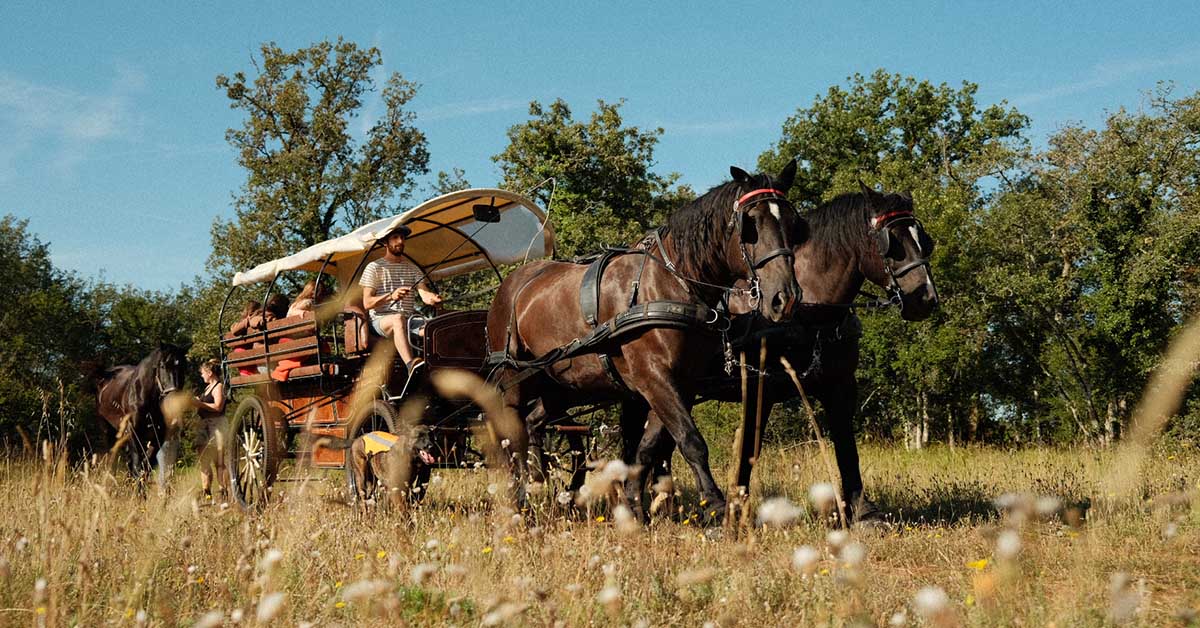 Nomades Des Terres : renouer avec nos origines en roulotte