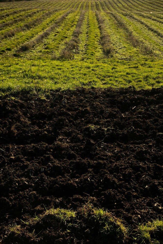 Fertilisant et puits de carbone, le retour en force du biochar