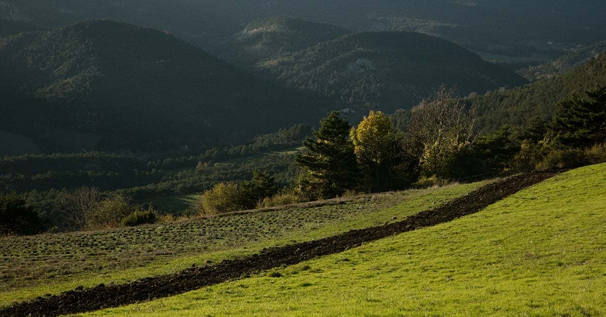 Fertilisant et puits de carbone, le retour en force du biochar