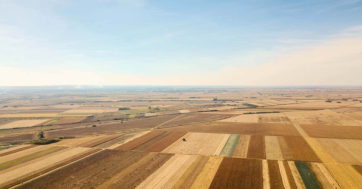 Loi d’Orientation Agricole, recul sans précédent pour la nature