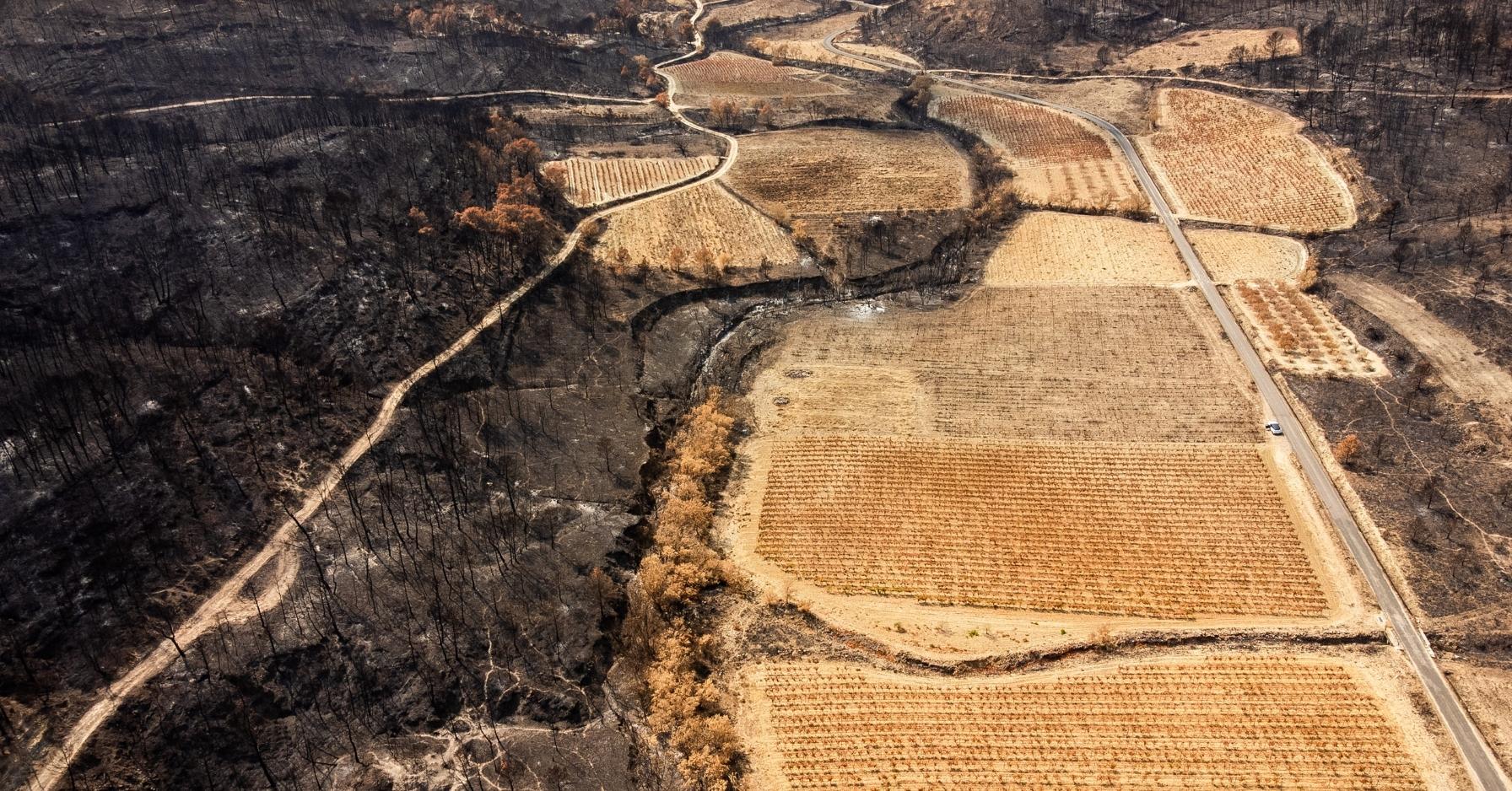 Aude : le « pire feu » depuis 50 ans enfin éteint, après 23 jours