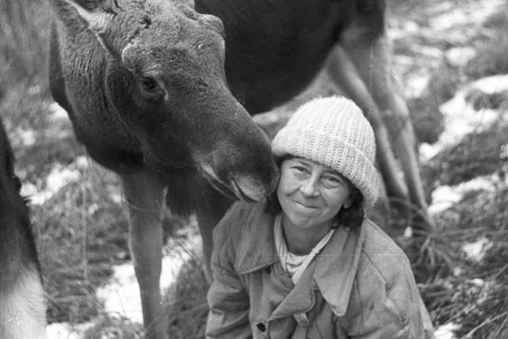 Simona Kossak a vécu plus de 30 ans avec les animaux de la forêt